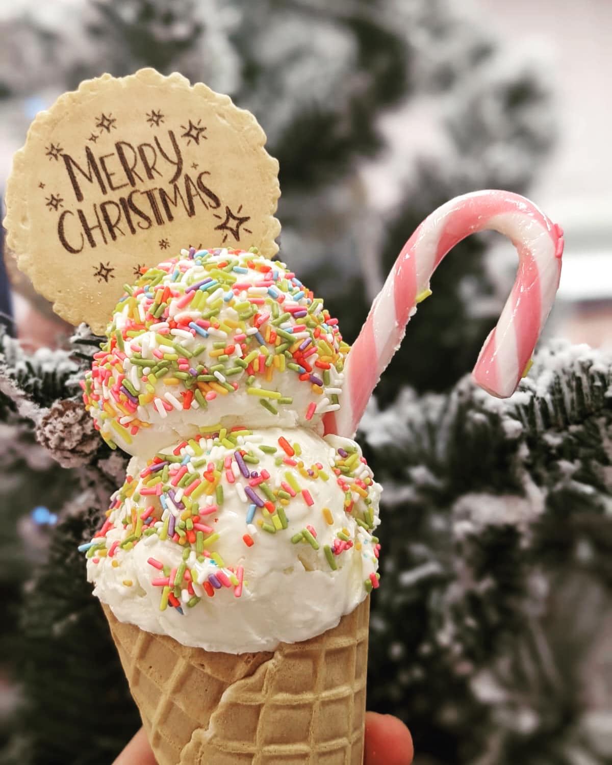 Custom-printed Ice Cream Wafer Discs/Biscuits | Edible | Single Colour ...